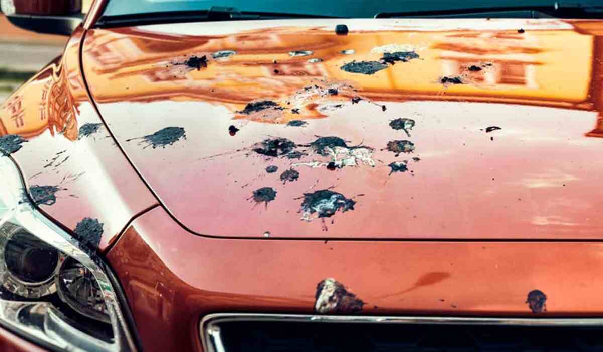 Spotting and Addressing Paint Damage